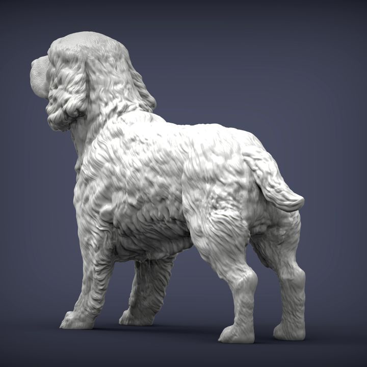 3D Printable English Springer spaniel by Alexander3dart