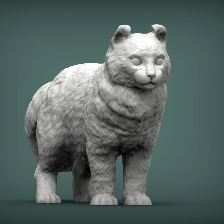 3D Printable American curl by Alexander3dart