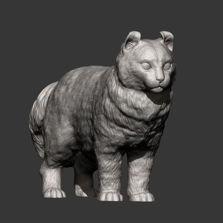 3D Printable American curl by Alexander3dart