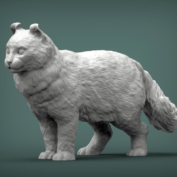 3D Printable American curl by Alexander3dart