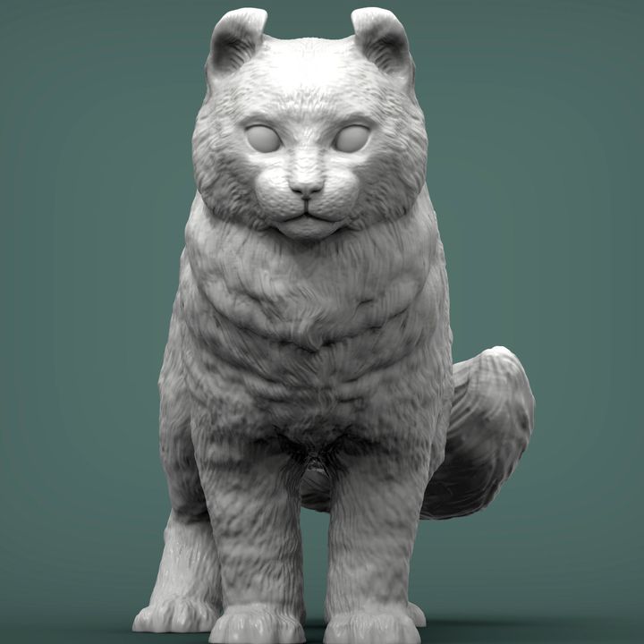 3D Printable American curl by Alexander3dart