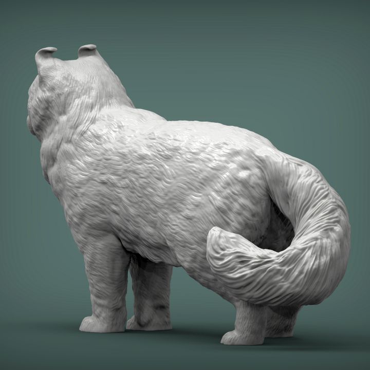 3D Printable American curl by Alexander3dart