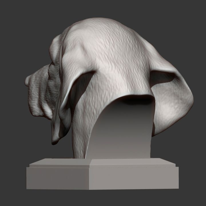 3D Printable Beagle bust by Alexander3dart