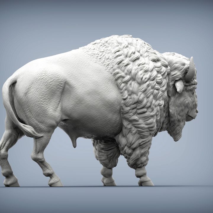 3D Printable Bison by Alexander3dart