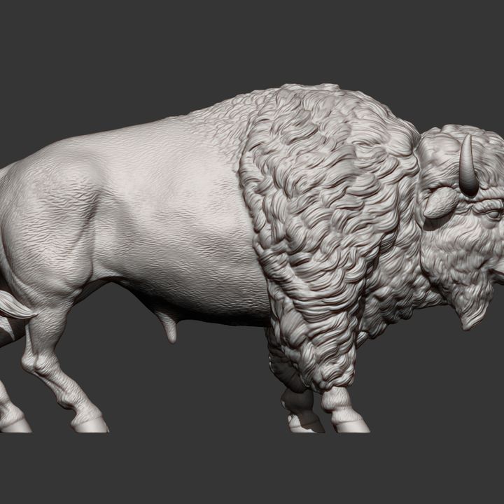 3D Printable Bison by Alexander3dart