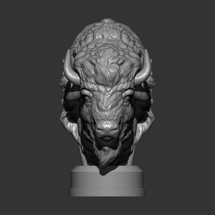 3D Printable Bison bust by AKUZMENKO