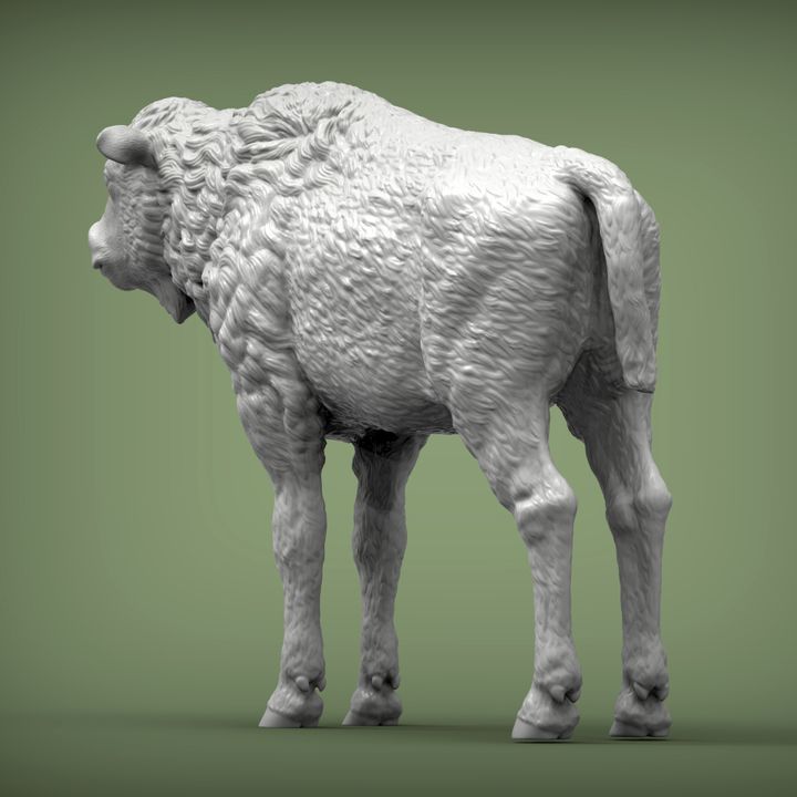 3D Printable Bison calf by Alexander3dart
