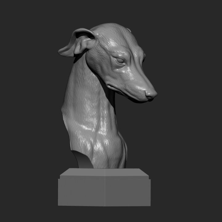 3D Printable Greyhound dog bust by AKUZMENKO