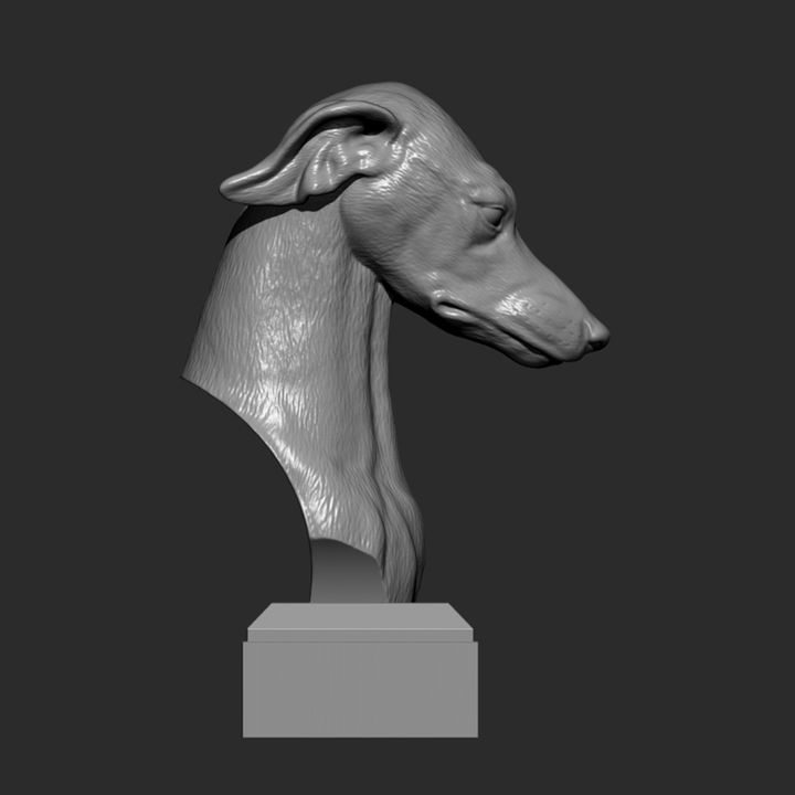 3D Printable Greyhound dog bust by AKUZMENKO