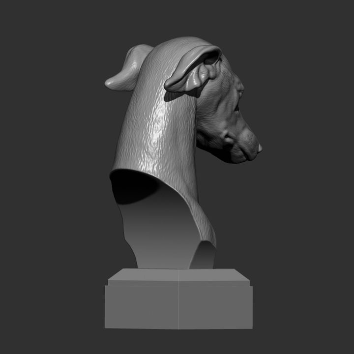 3D Printable Greyhound dog bust by AKUZMENKO