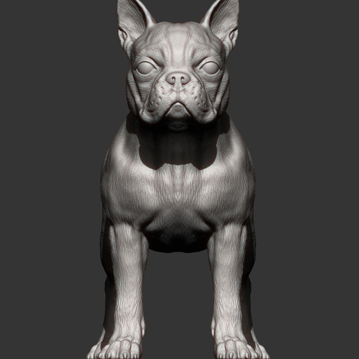 3D Printable Boston terrier by Alexander3dart