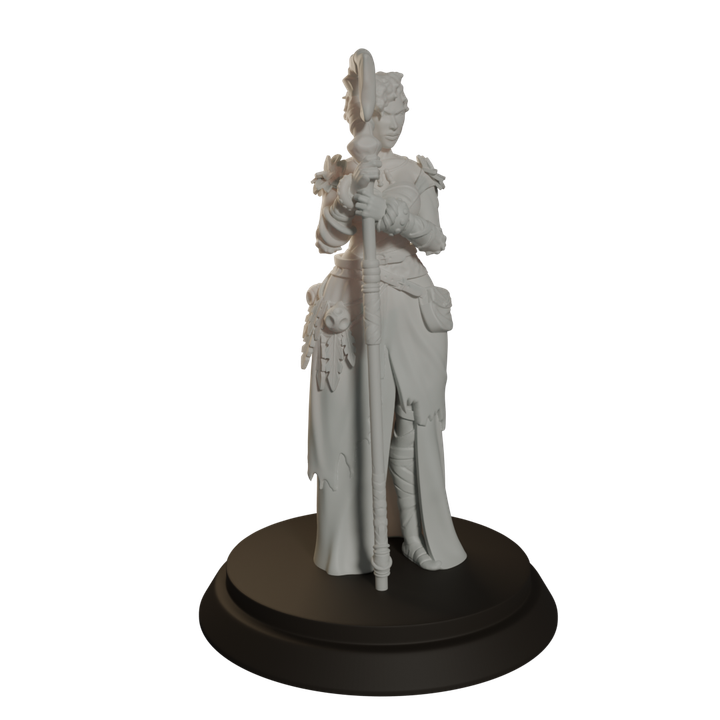 3D Printable Female Human Druid by Tenda Orc Studio