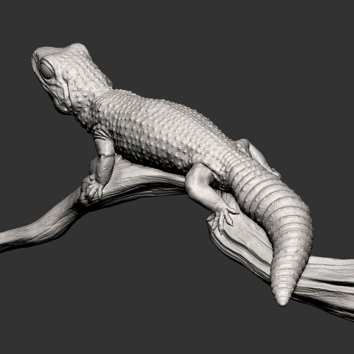 3D Printable Leopard gecko by Alexander3dart