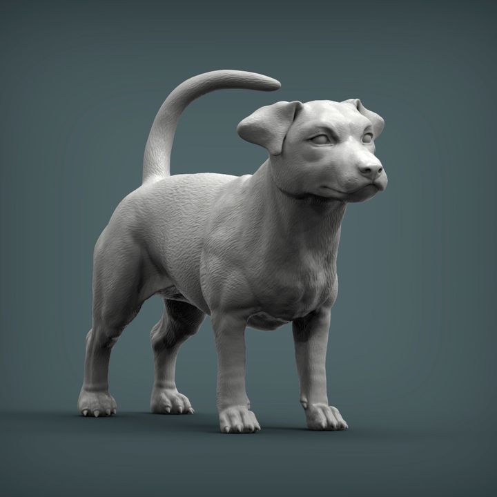 3D Printable jack russell terrier by Alexander3dart