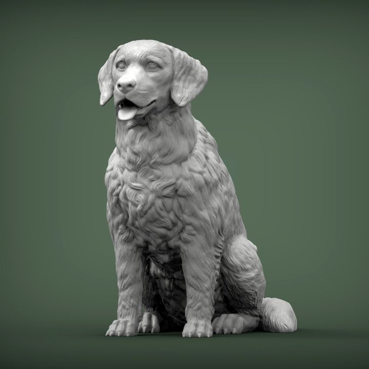 3D Printable Golden Retriever by Alexander3dart