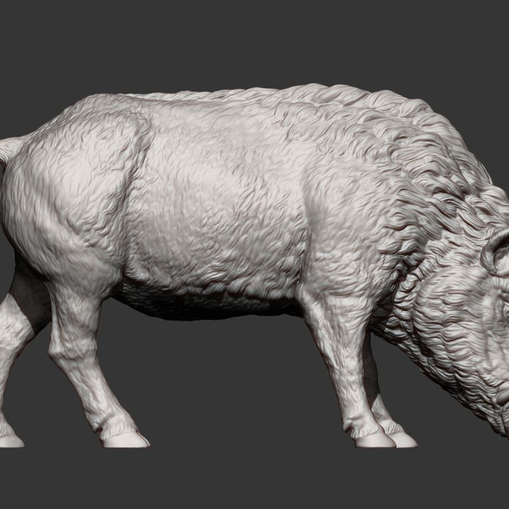3D Printable Boar 3D print model wild by Alexander3dart