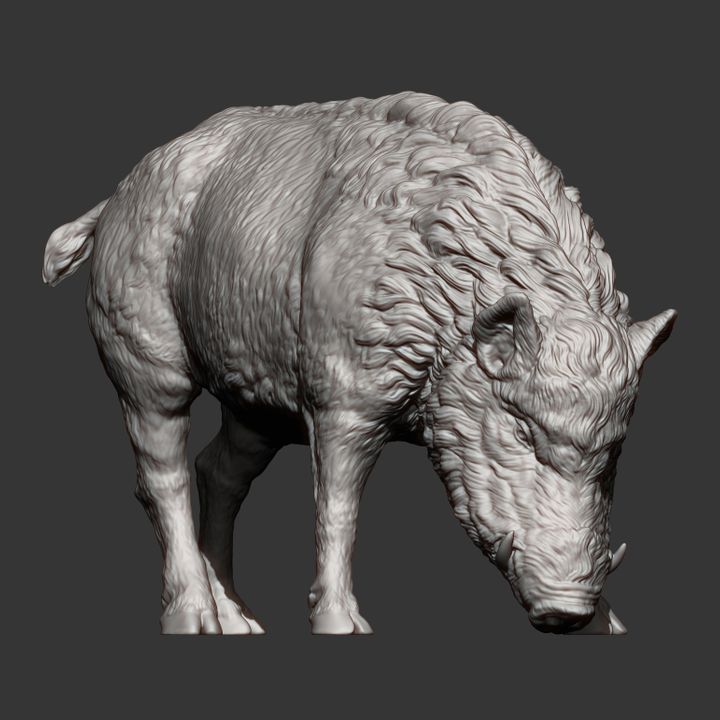 3D Printable Boar 3D print model wild by Alexander3dart