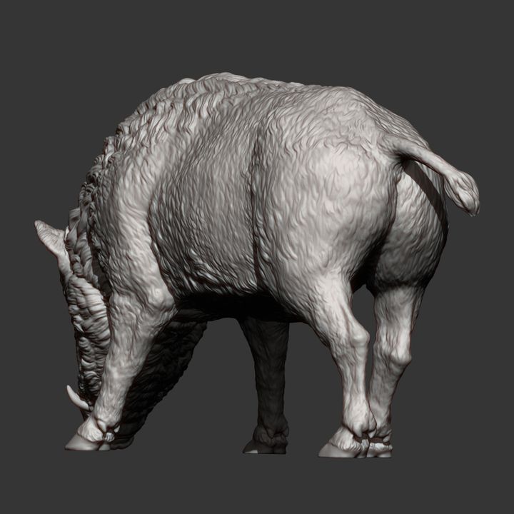 3D Printable Boar 3D print model wild by Alexander3dart