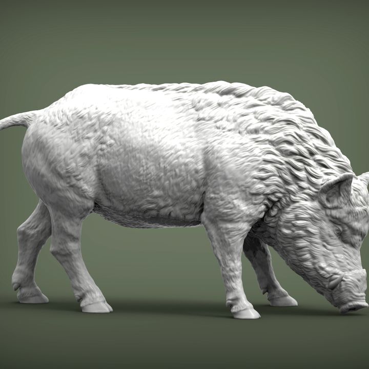 3D Printable Boar 3D print model wild by Alexander3dart