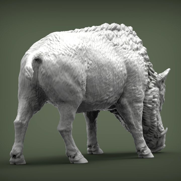 3D Printable Boar 3D print model wild by Alexander3dart