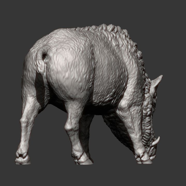 3D Printable Boar 3D print model wild by Alexander3dart