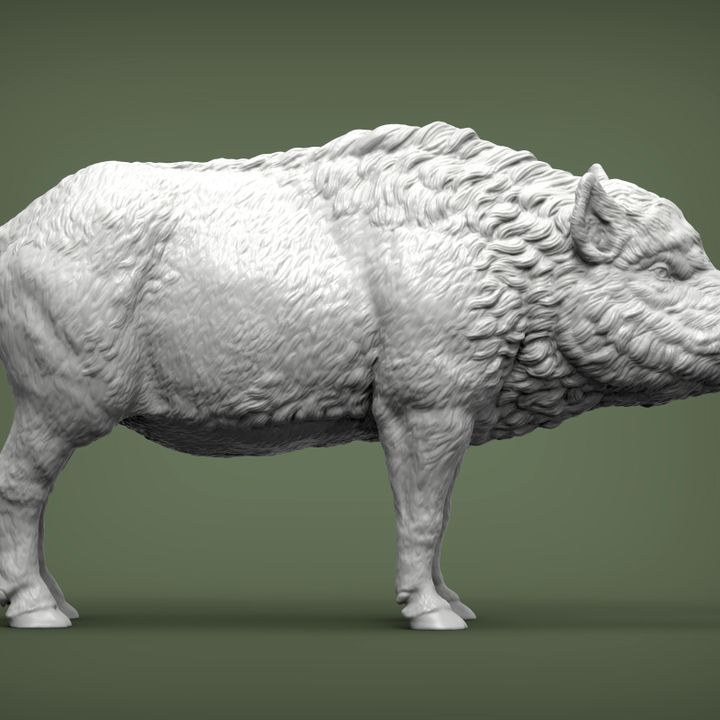 3D Printable Boar by Alexander3dart