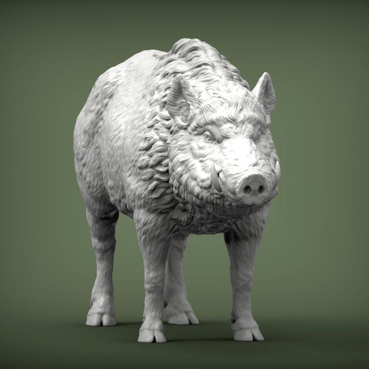 3D Printable Boar by Alexander3dart