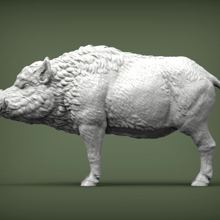 3D Printable Boar by Alexander3dart