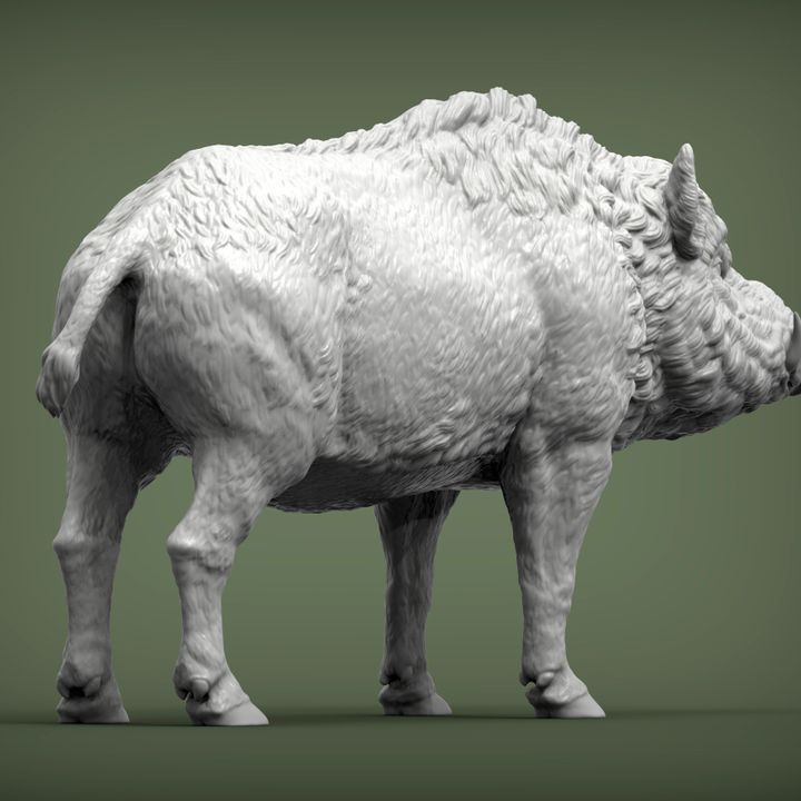 3D Printable Boar by Alexander3dart