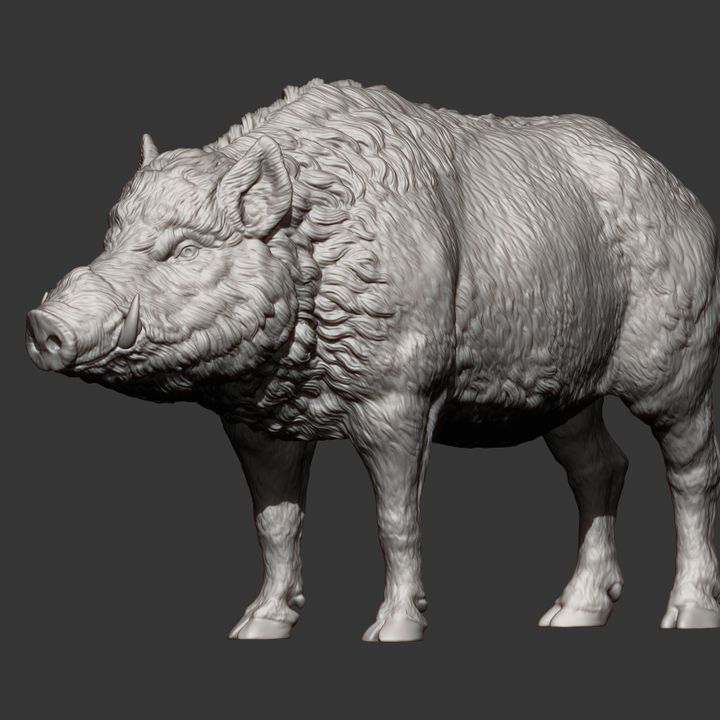 3D Printable Boar by Alexander3dart