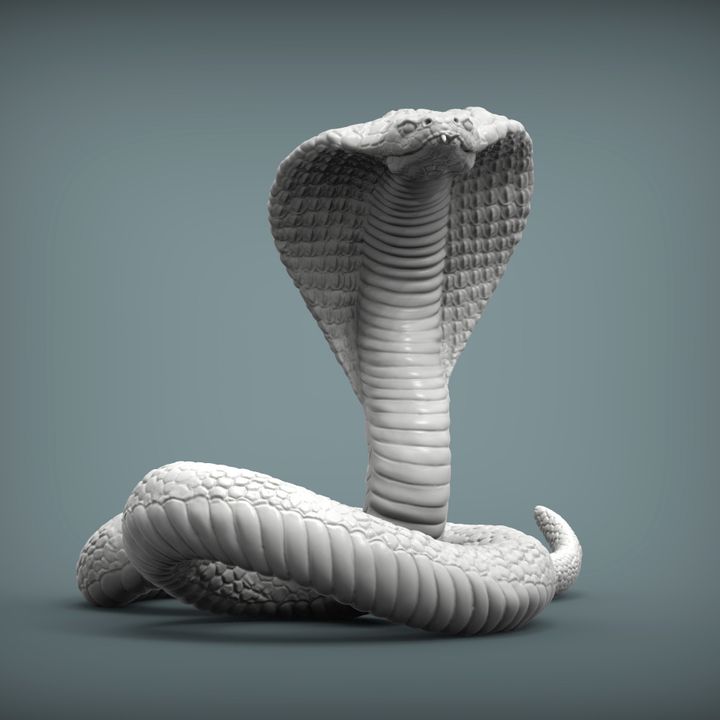 3D Printable Cobra snake by AKUZMENKO