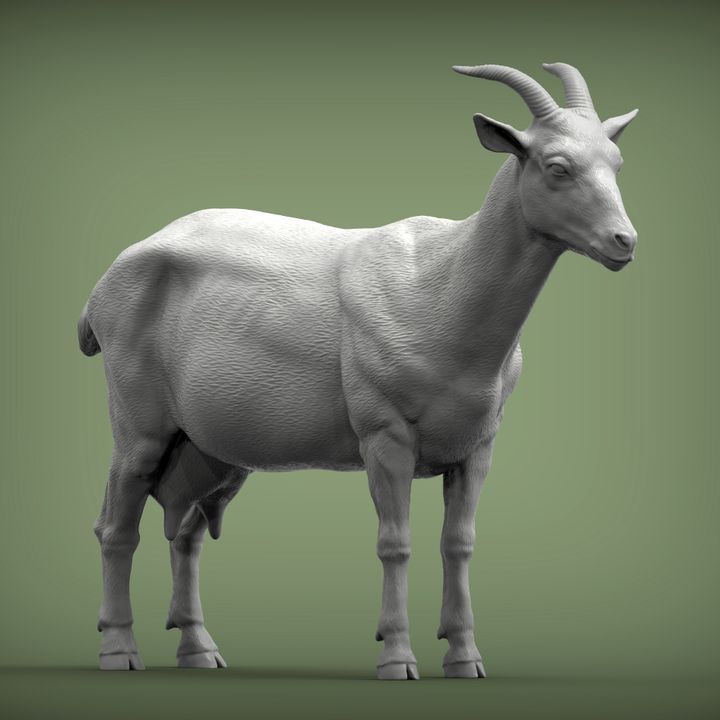 3D Printable Goat by Alexander3dart