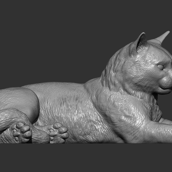 3D Printable Cat by Alexander3dart