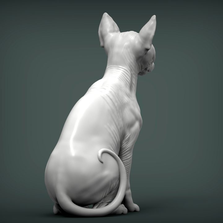 3D Printable sphinx cat by Alexander3dart