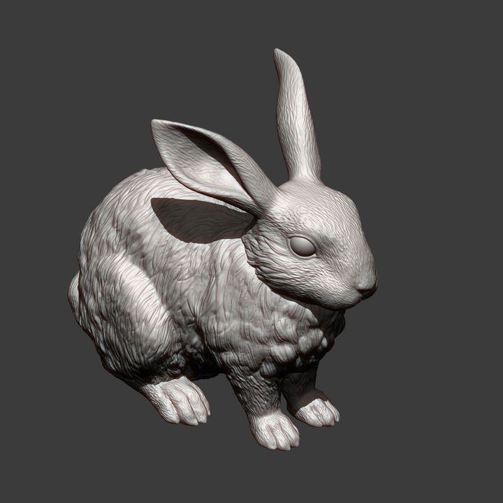 3D Printable rabbit by Alexander3dart