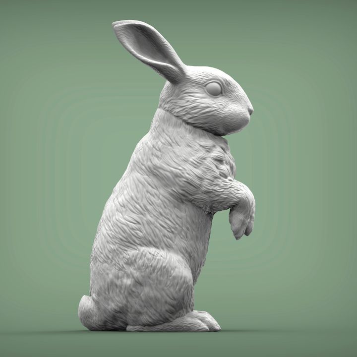 3D Printable Rabbit by AKUZMENKO