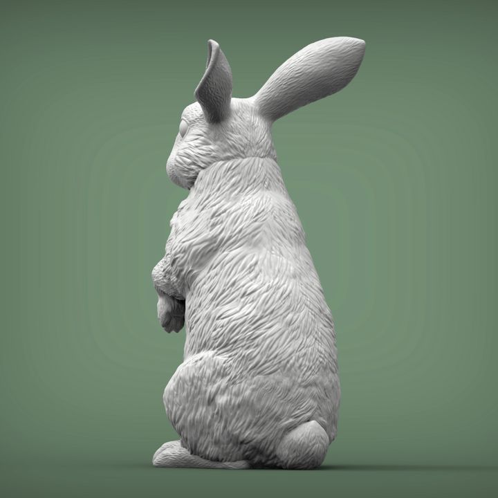 3D Printable Rabbit by AKUZMENKO