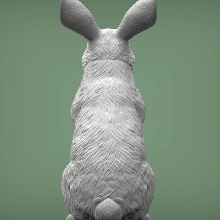 3D Printable Rabbit by AKUZMENKO