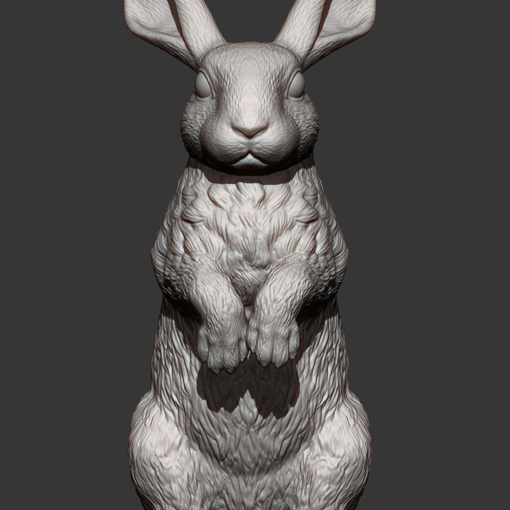 3D Printable Rabbit by AKUZMENKO