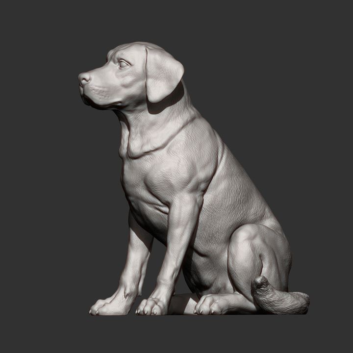 3D Printable Labrador by Alexander3dart
