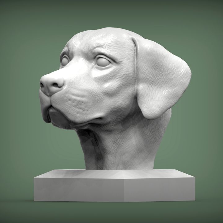 3D Printable Labrador bust of dog by Alexander3dart