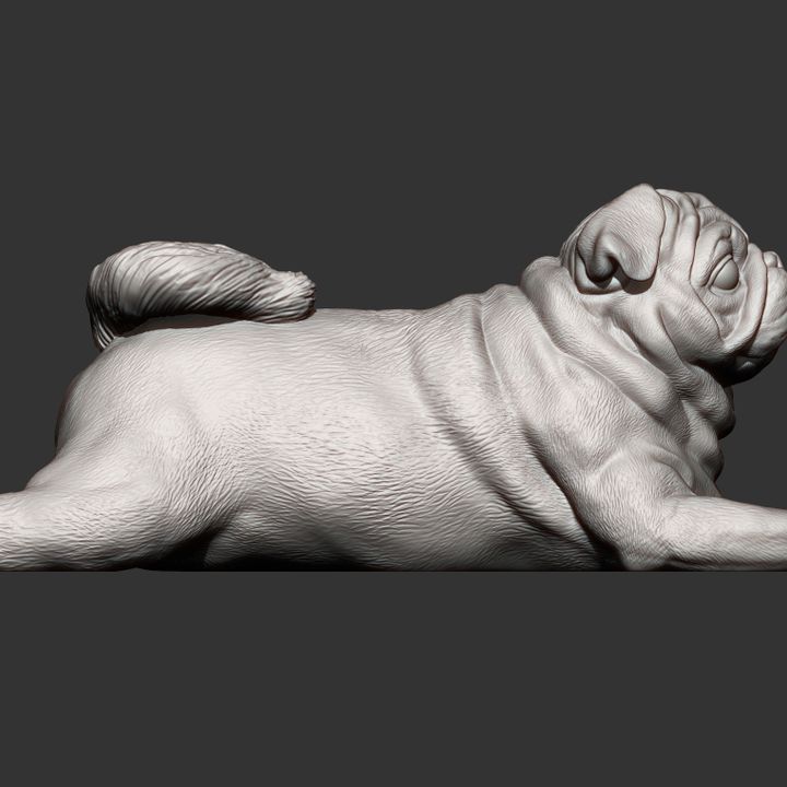 3D Printable Pug by AKUZMENKO