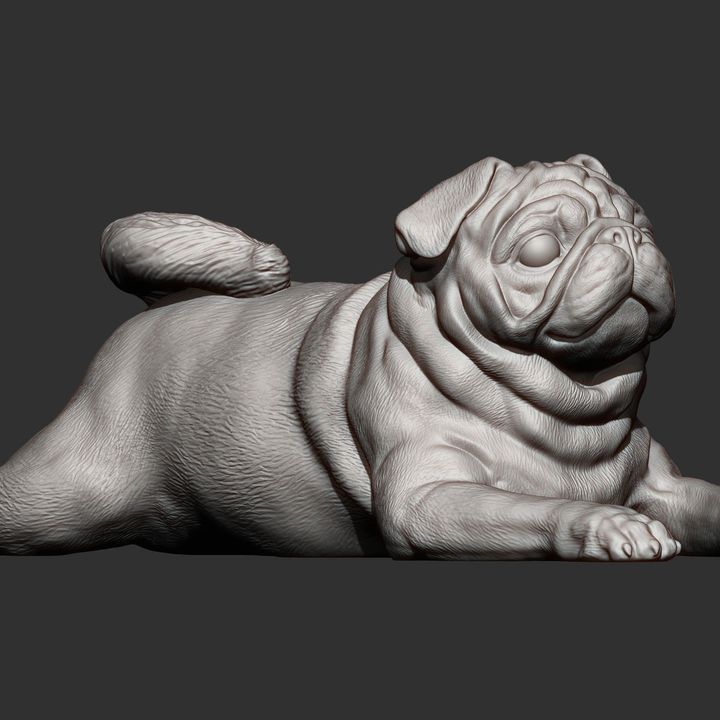 3D Printable Pug by AKUZMENKO