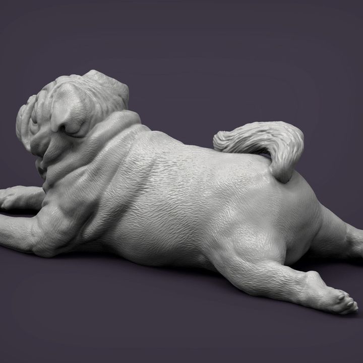 3D Printable Pug by Alexander3dart