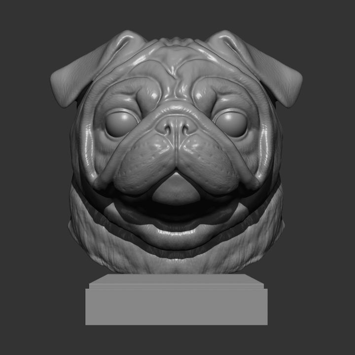 3D Printable Pug bust by Alexander3dart