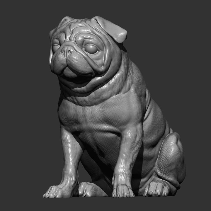 3D Printable Pug by Alexander3dart