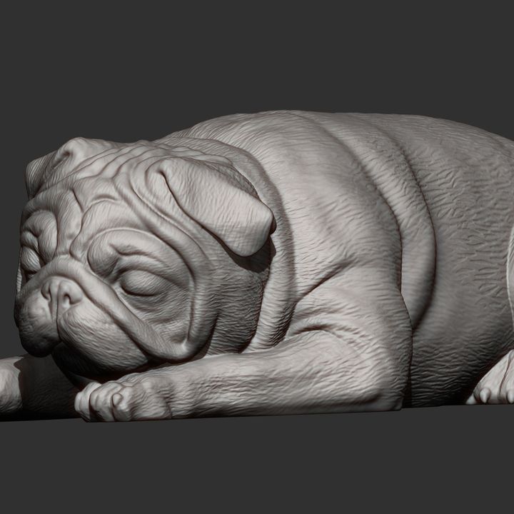 3D Printable Pug by Alexander3dart