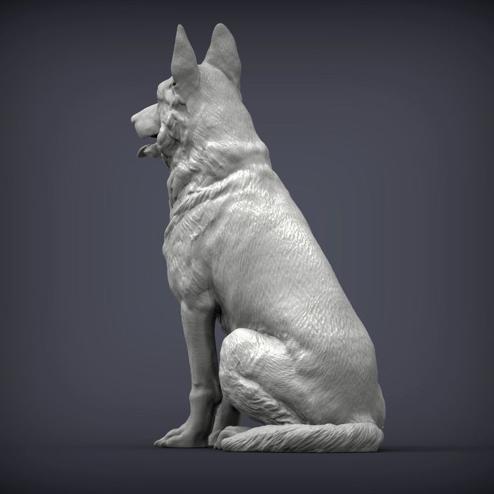 3D Printable German Shepherd by Alexander3dart