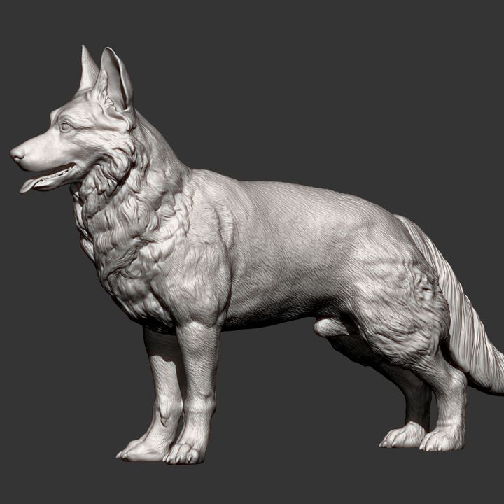 3D Printable German Shepherd by Alexander3dart