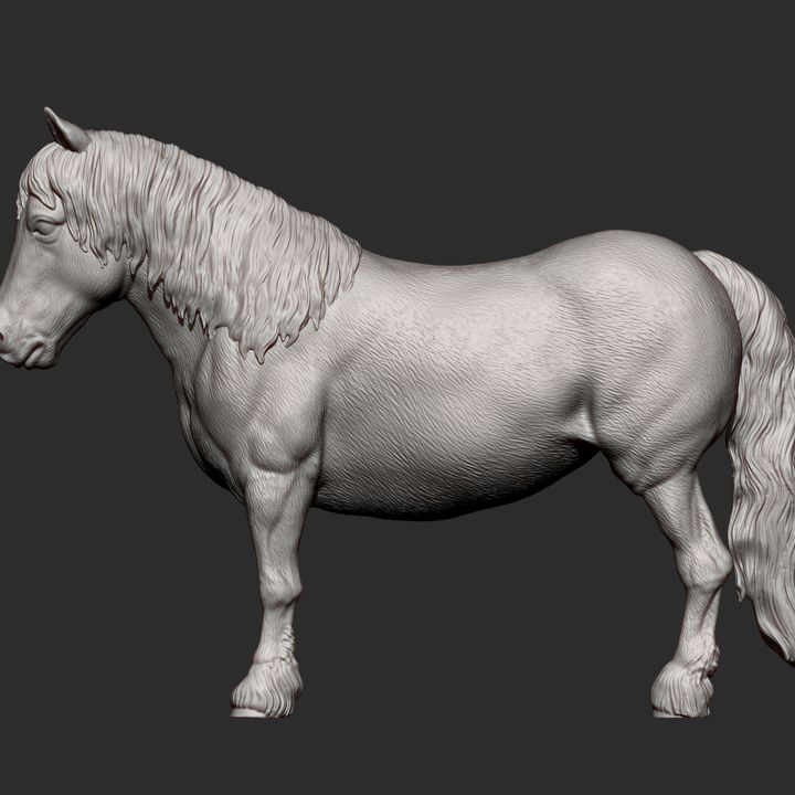 3D Printable pony by Alexander3dart